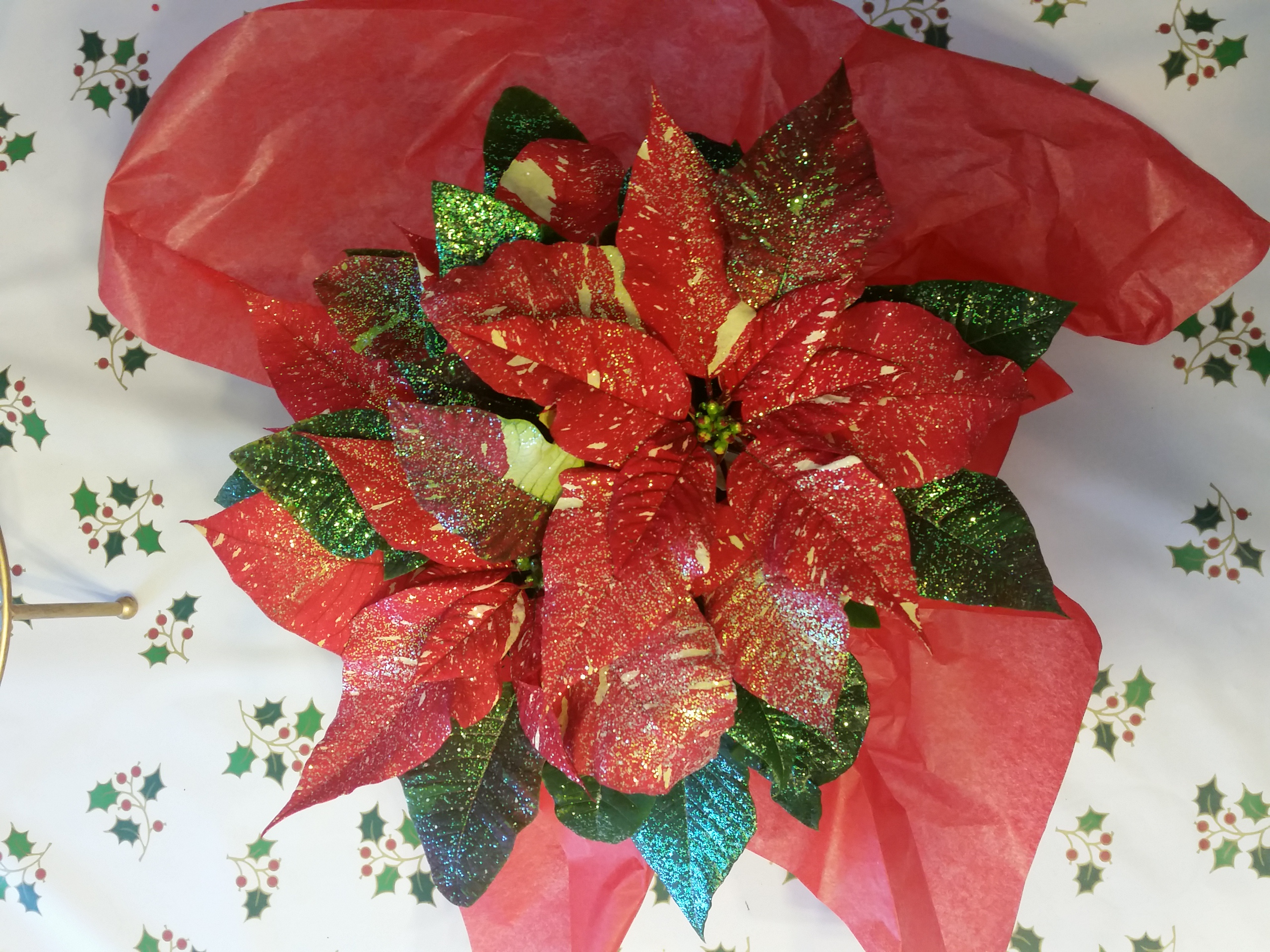 Less or More for Christmas? - Leah and Joe: Home DIY Projects & Crafts